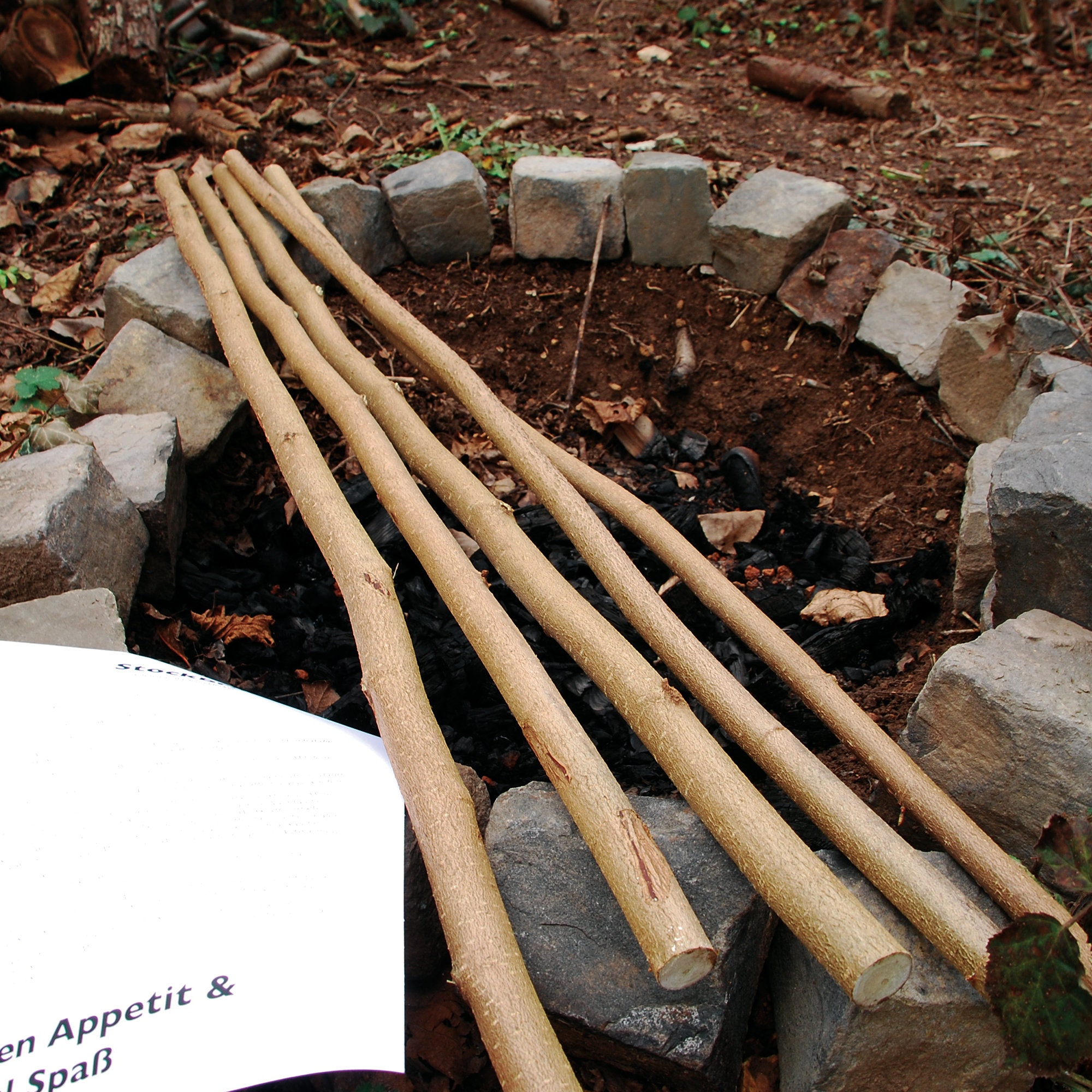 5 Hazel Sticks for Stick Bread, for Crafts or for the Hobby Hazel ...