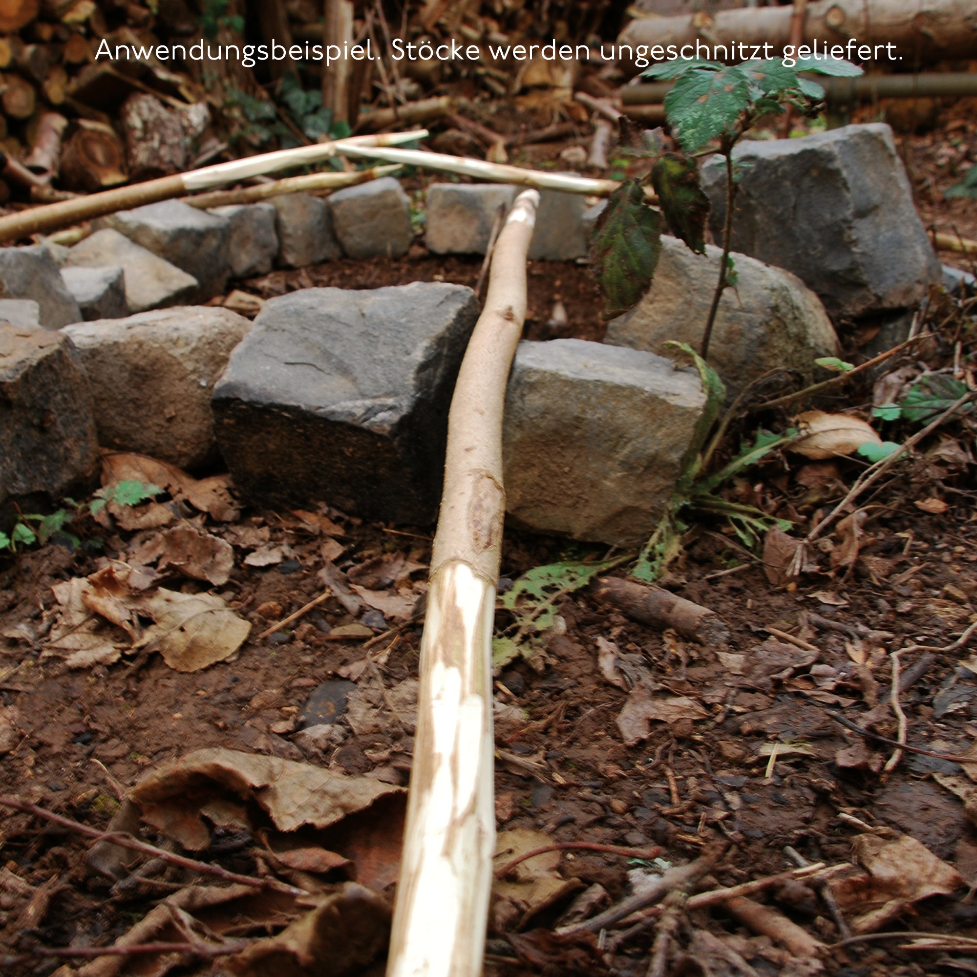 5 Hazel Sticks for Stick Bread, for Crafts or for the Hobby Hazel ...