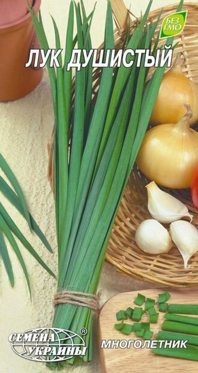 Rare Original Vegetable Seeds Onion fragrant. | Etsy
