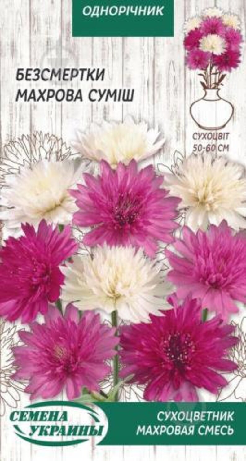 Rare Original Flower Seeds Dry Flower terry Mix | Etsy