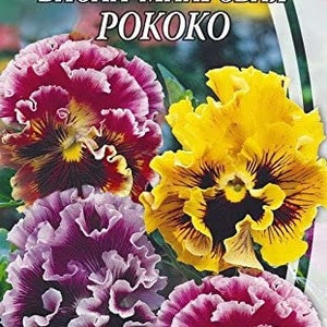 Flower Seeds Pansy Giant Viola terry Rococo Mix - Etsy Canada