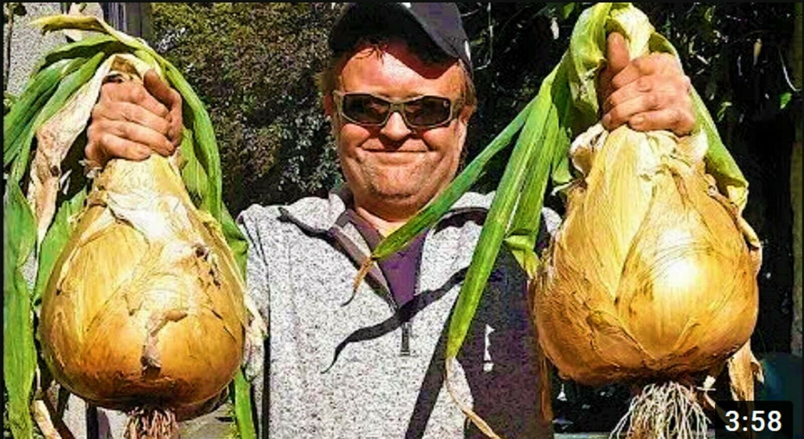 Rare Original Onion Seeds alisa Craig Giant Bulb - Etsy Canada