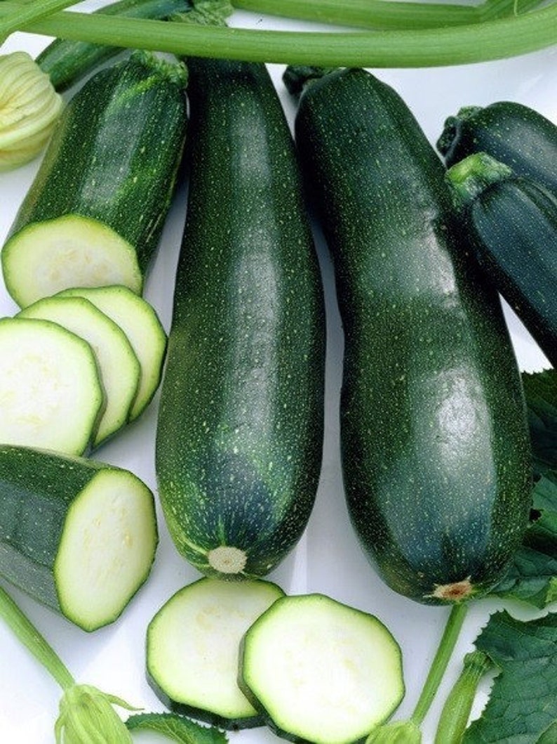 Rare Original Vegetable Squash seeds Cherniy | Etsy