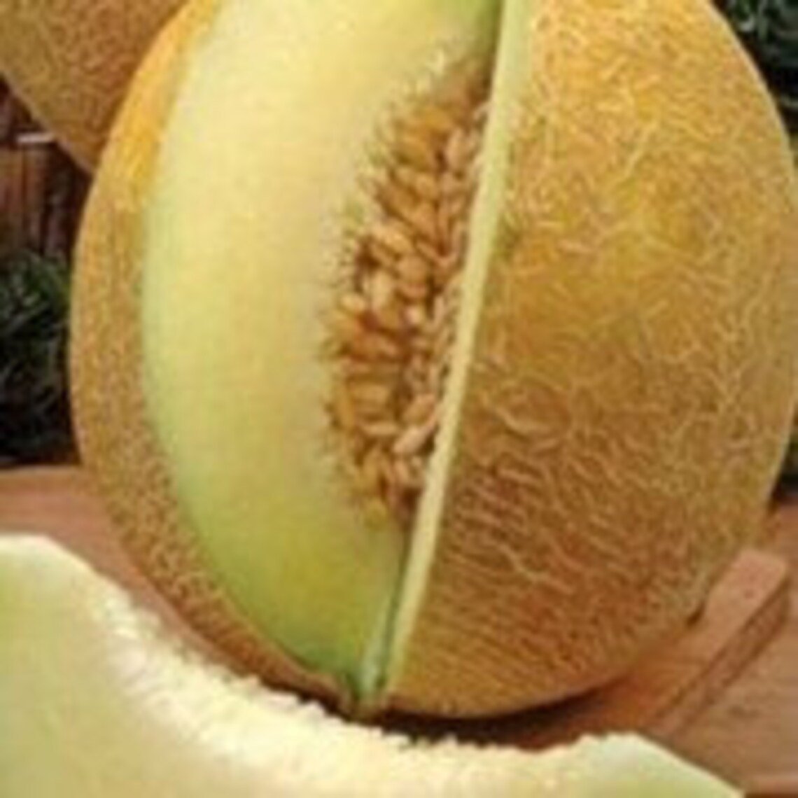 Rare Original Vegetable Melon Seeds Honey Tale. | Etsy