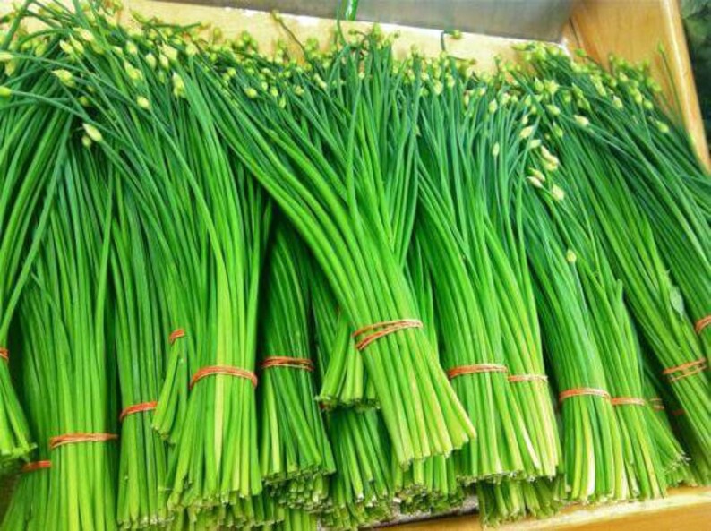 Rare Original Vegetable Seeds Onion fragrant. | Etsy