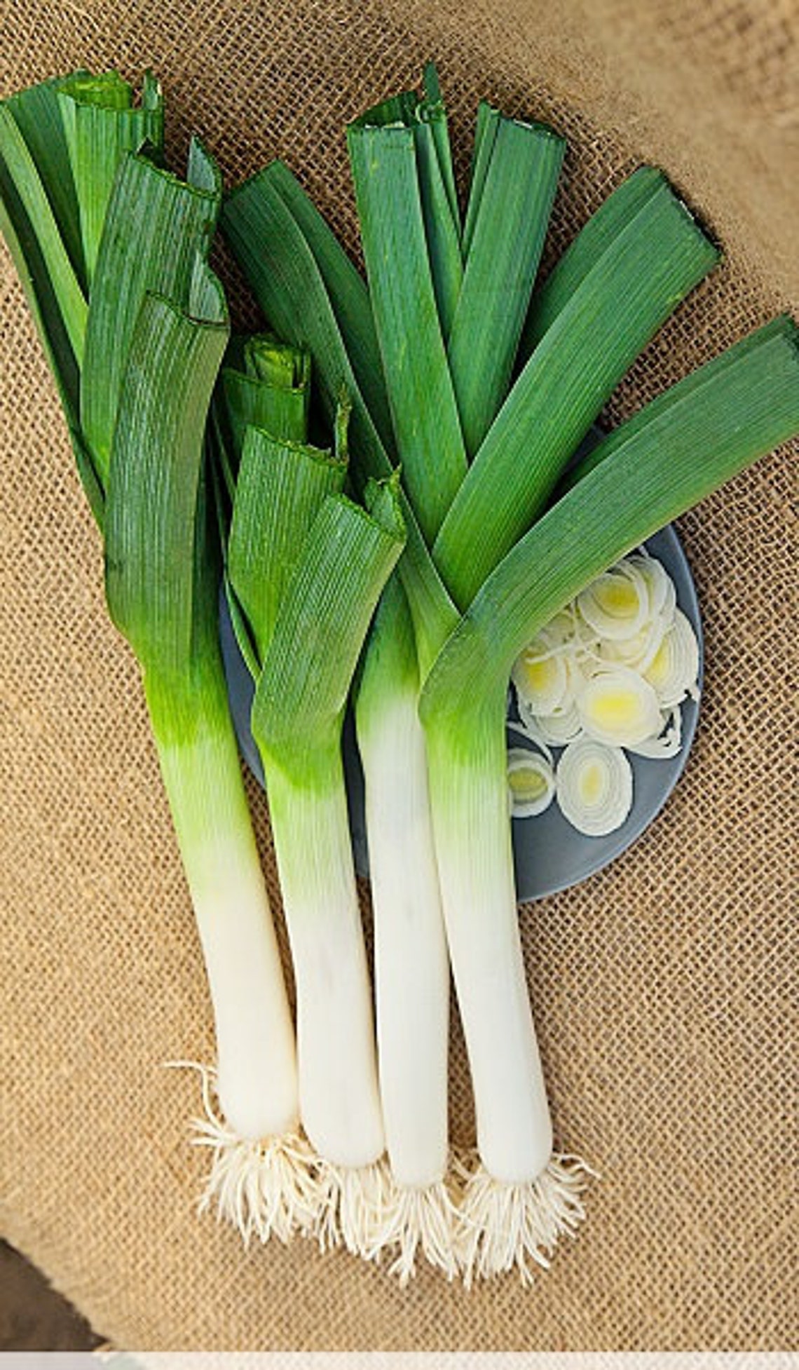 Rare Original Vegetable Seeds Onion Leek | Etsy