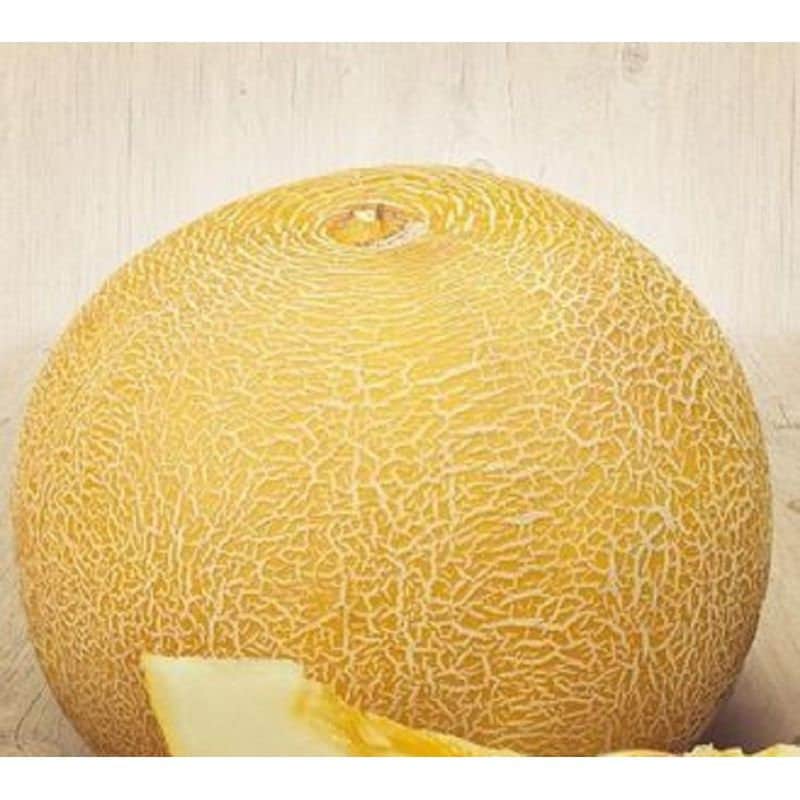 Rare Original Vegetable Melon Seeds honey Tale. | Etsy