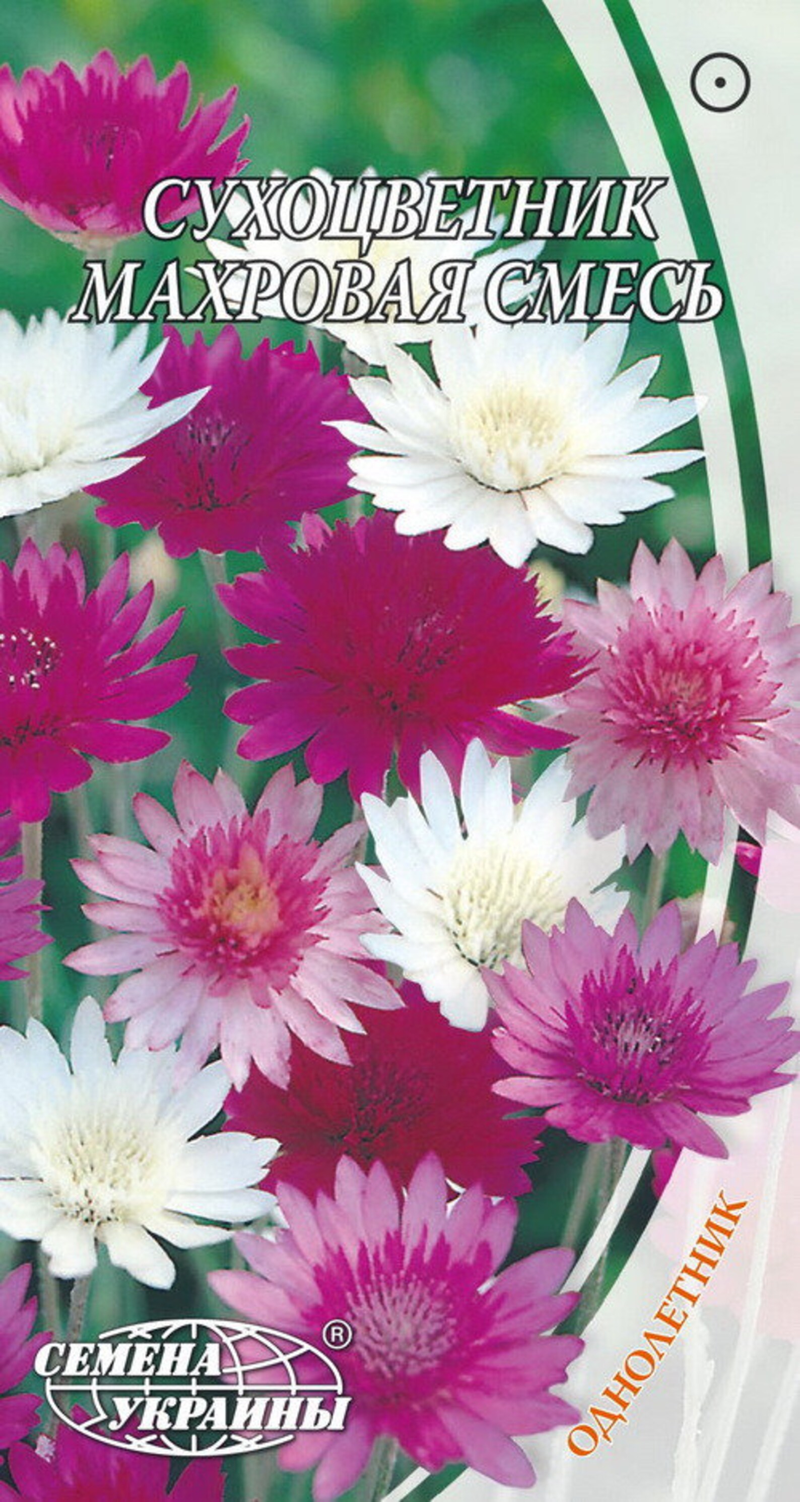 Rare Original Flower Seeds Dry flower Terry Mix | Etsy