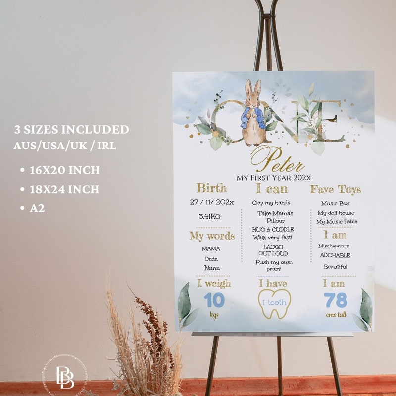 Peter Rabbit Party - Etsy