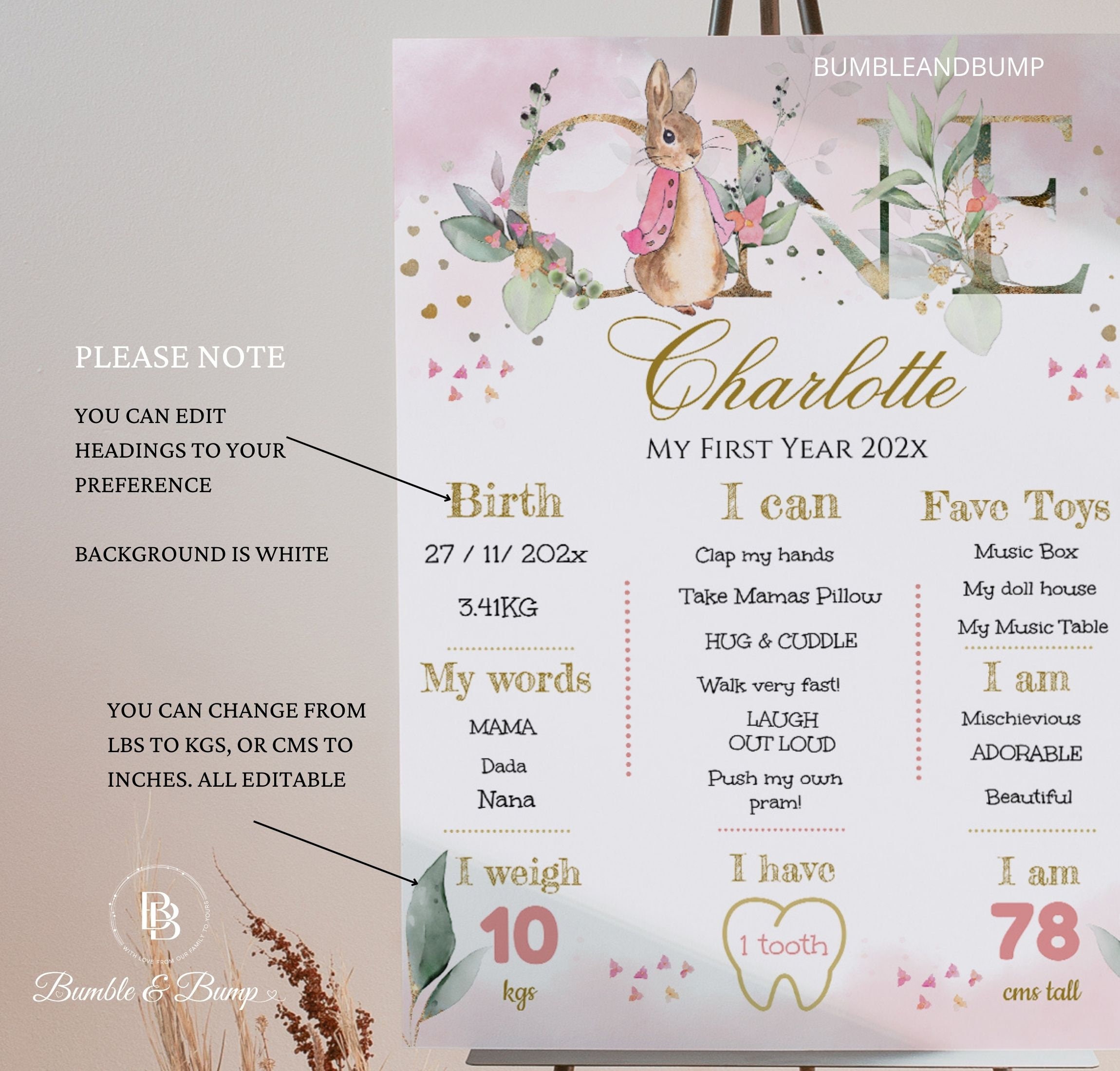 Pink Peter Rabbit Printable Milestone Board Flopsy Birthday - Etsy