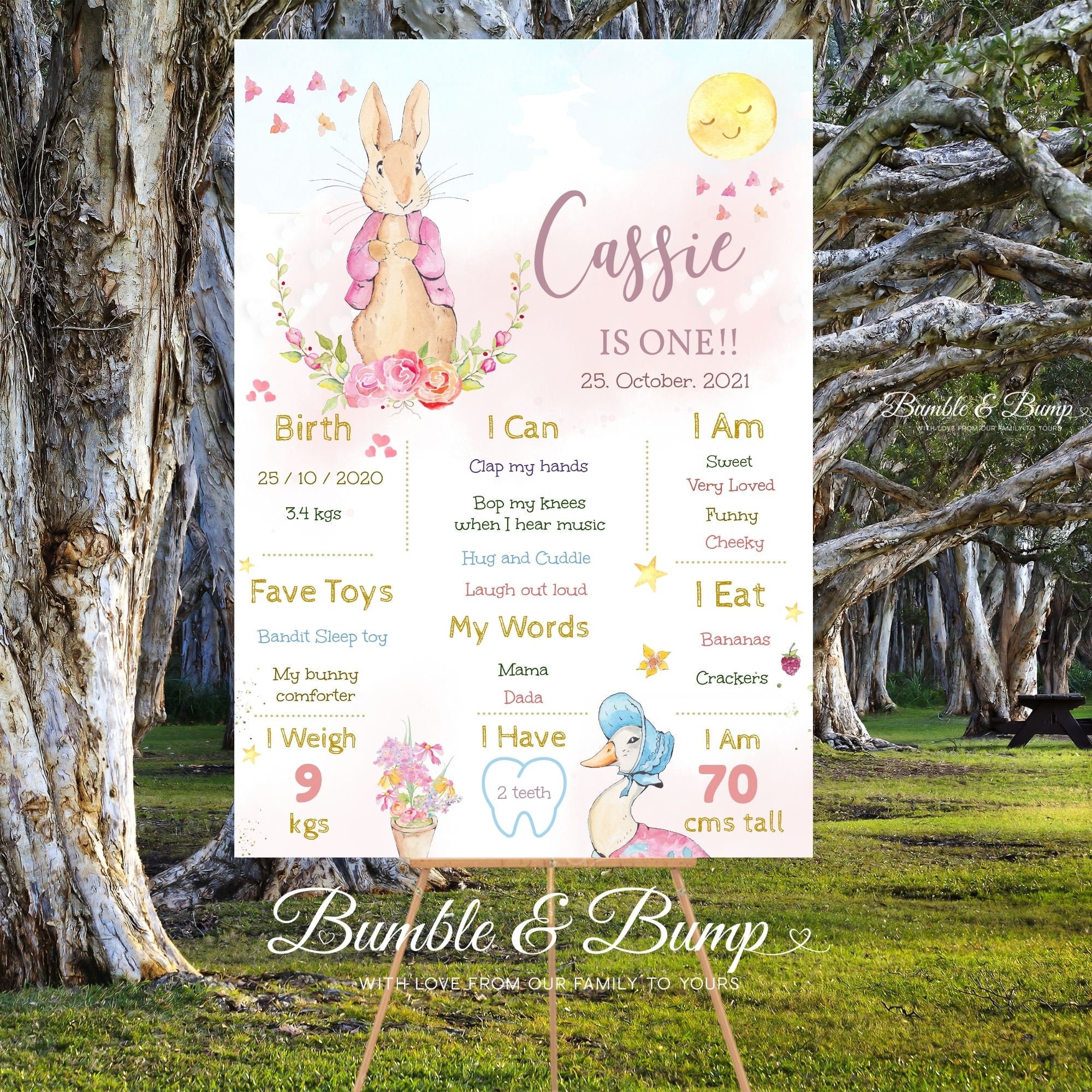Pink Peter Rabbit Milestone Board A2 Template 18x24 - Etsy
