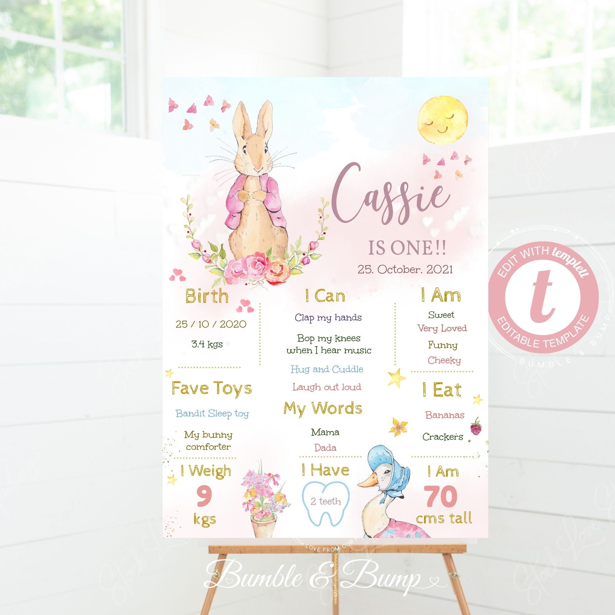 Pink Peter Rabbit Milestone Board A2 Template 18x24 | Etsy