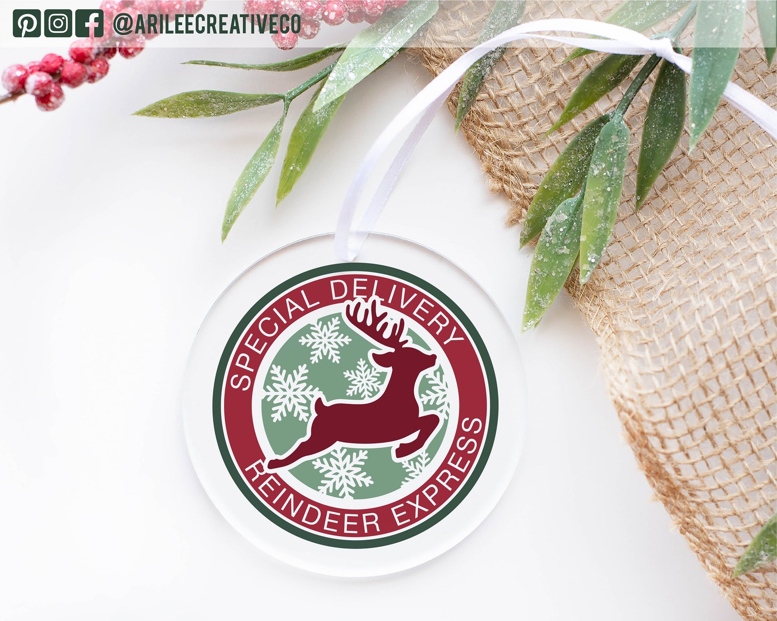 Reindeer Express SVG Special Delivery SVG Christmas Gift - Etsy