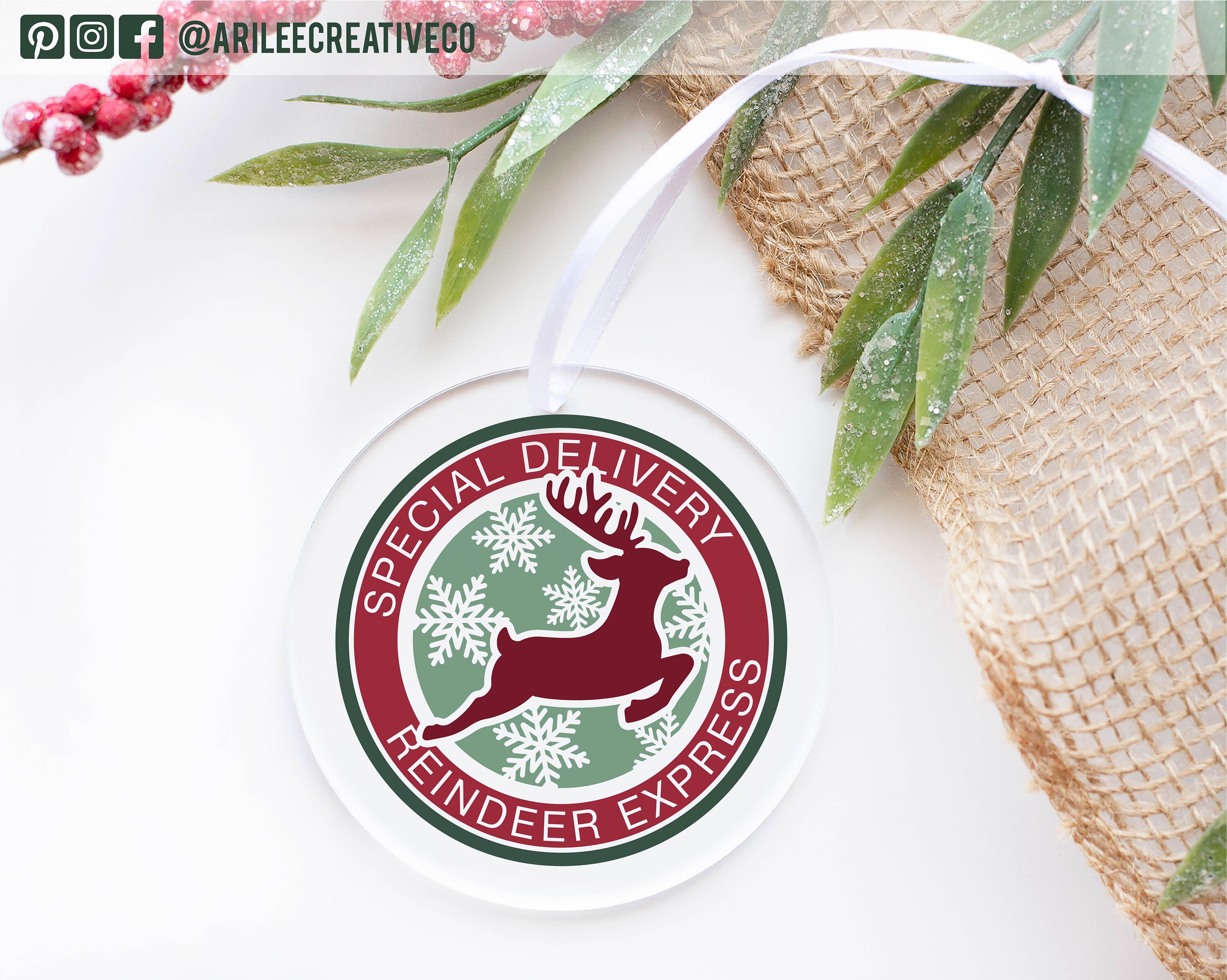 Reindeer Express SVG Special Delivery SVG Christmas Gift - Etsy