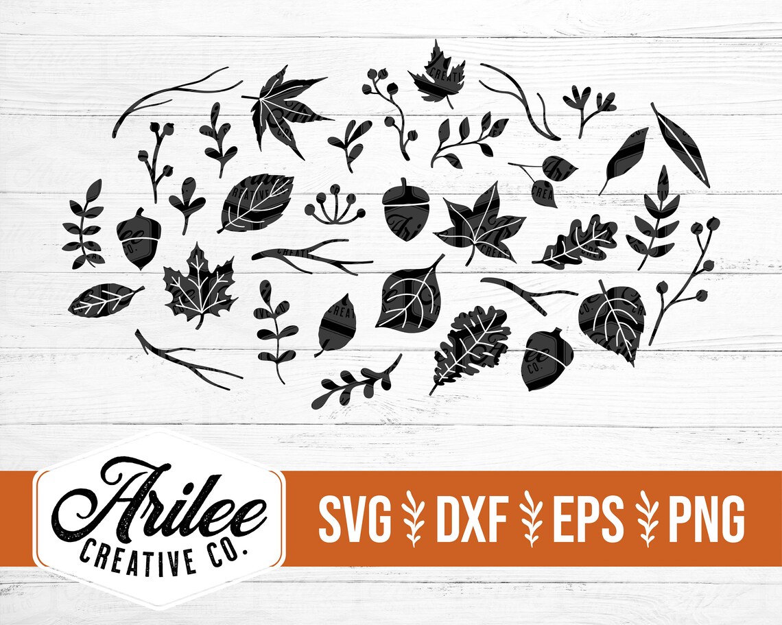 Fall Foliage SVG - Fall Leaves SVG Bundle - Autumn Leaves SVG - Fall ...