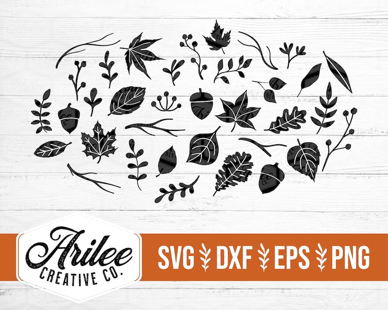 Fall Foliage SVG - Fall Leaves SVG Bundle - Autumn Leaves SVG - Fall ...