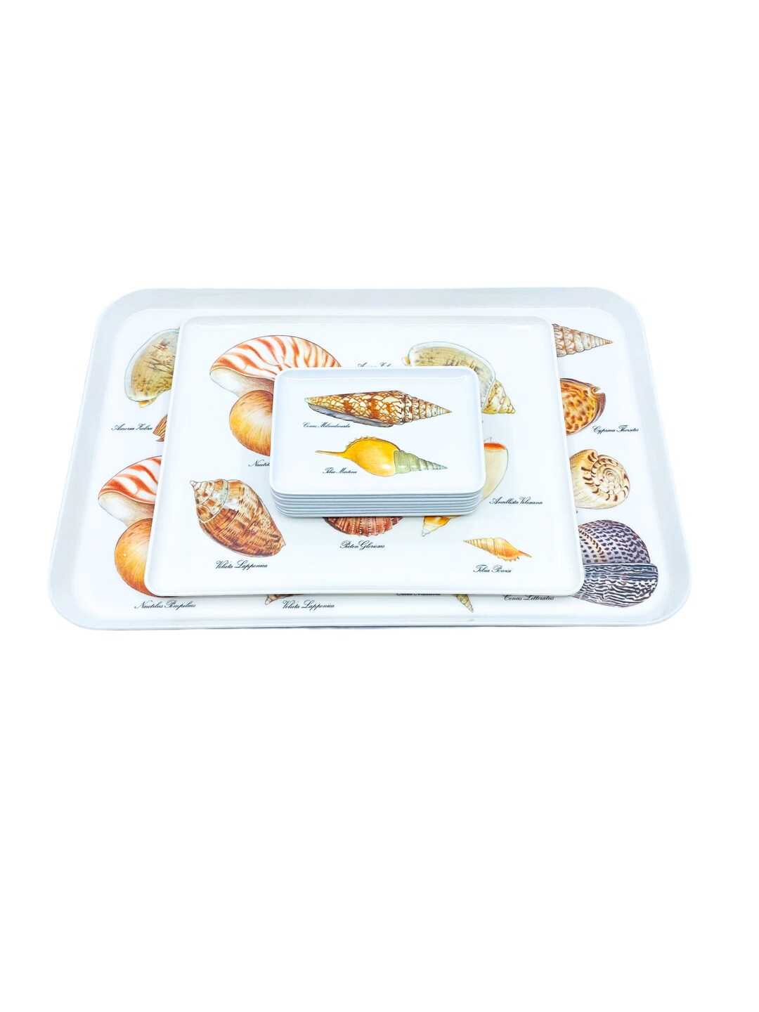 Vintage Melamine Shell Serving Tray Set, Italy 1 Large, 1 Medium, 8 ...