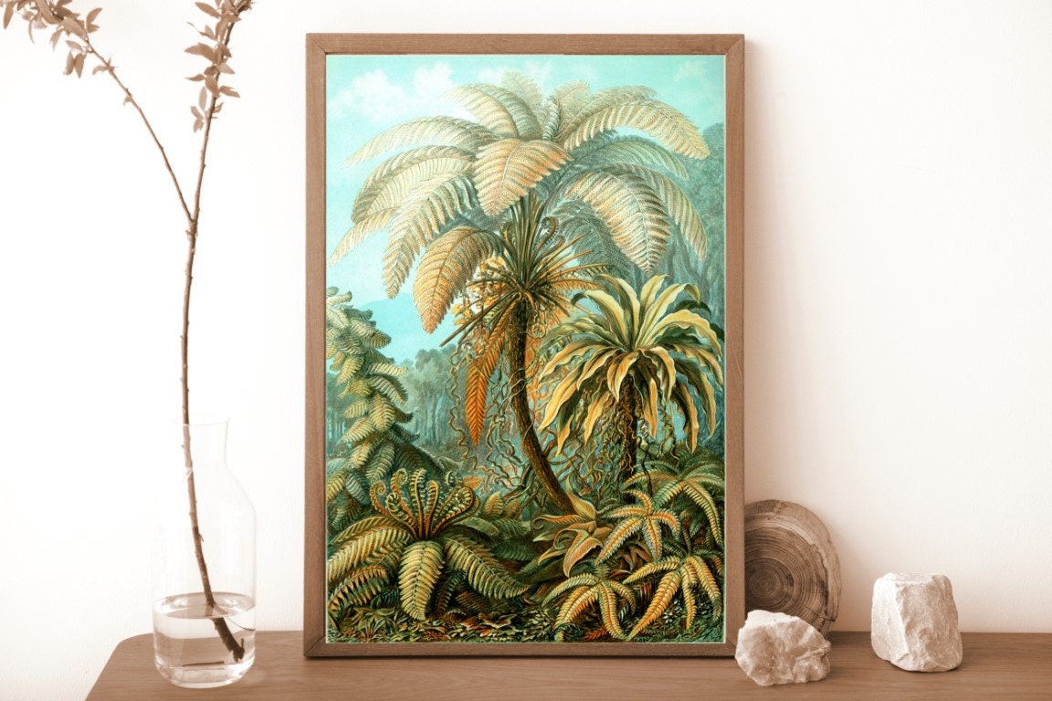 Botanical Educational Poster Vintage, Palm Tree Print, Biology Art ...