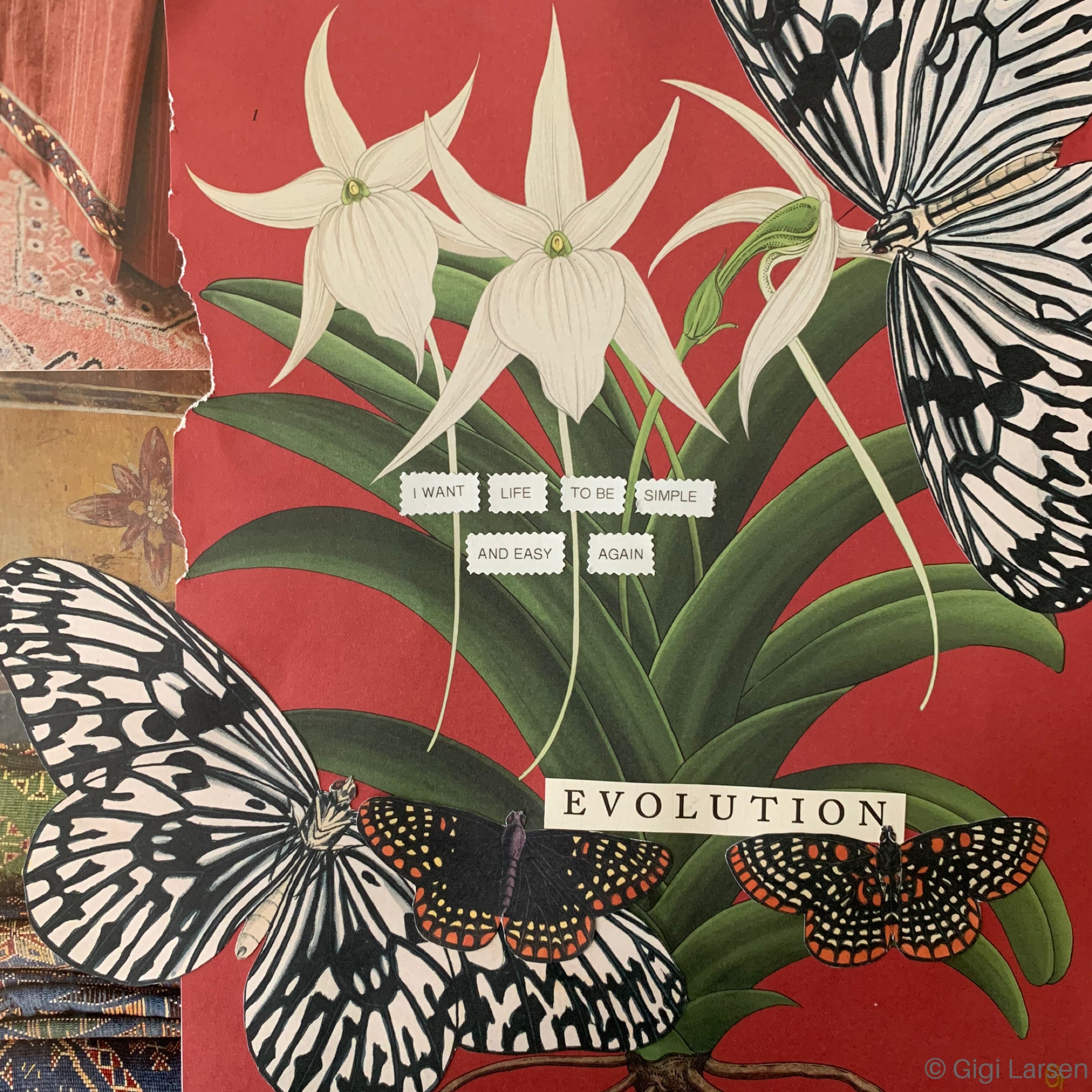 Custom Designed Collage - Etsy