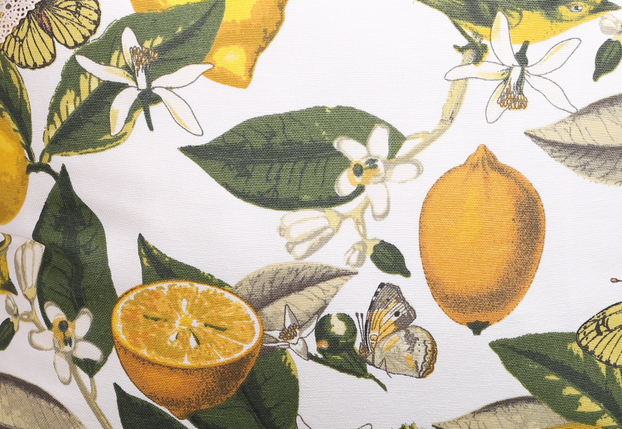 Lemon Tree, Birds and Butterflies Fabric DUCK, Waterproof Cotton ...
