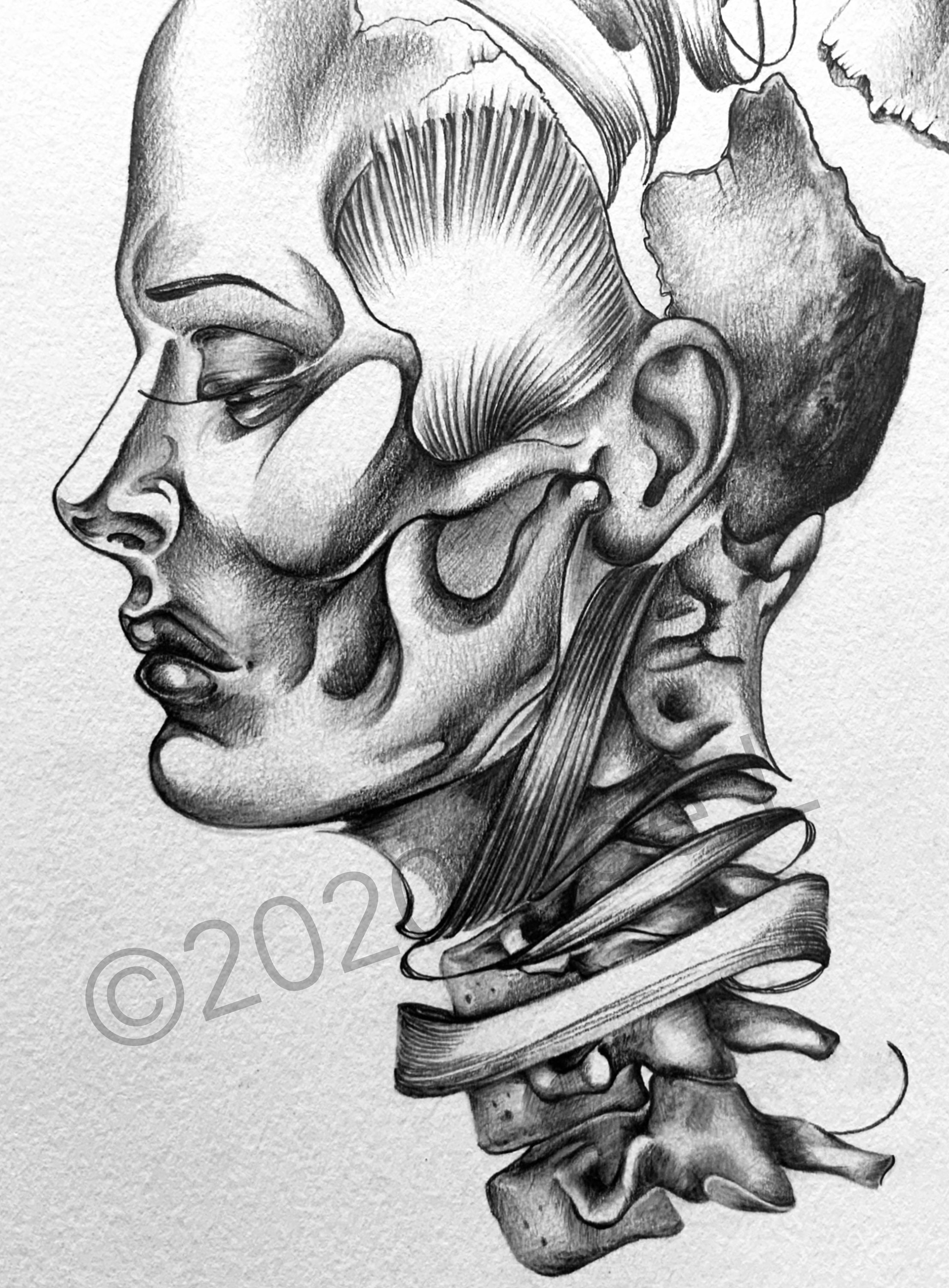 Shedding Skin print - Etsy