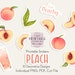 Peach Fruits Cute Food Printable Stickers, PNG & Cliparts for Summer ...