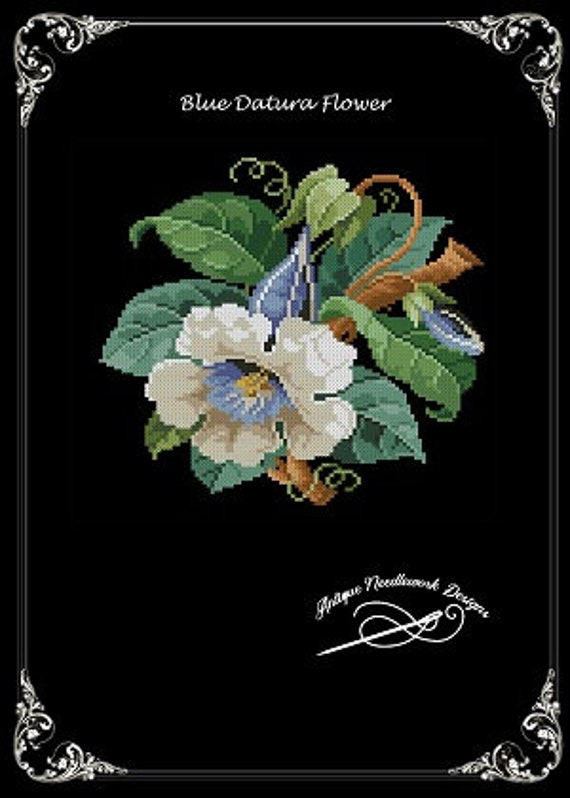 Blue Datura Flower | Etsy