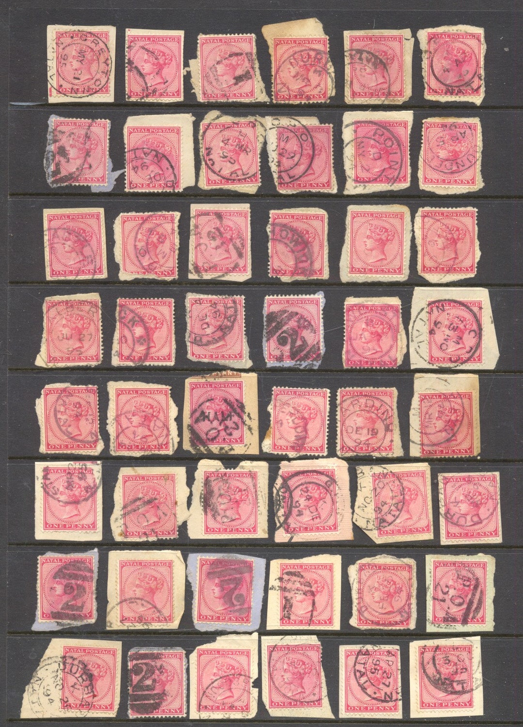 South Africa , NATAL , 48 X 1d Red Stamps , POSTMARK Interest - Etsy