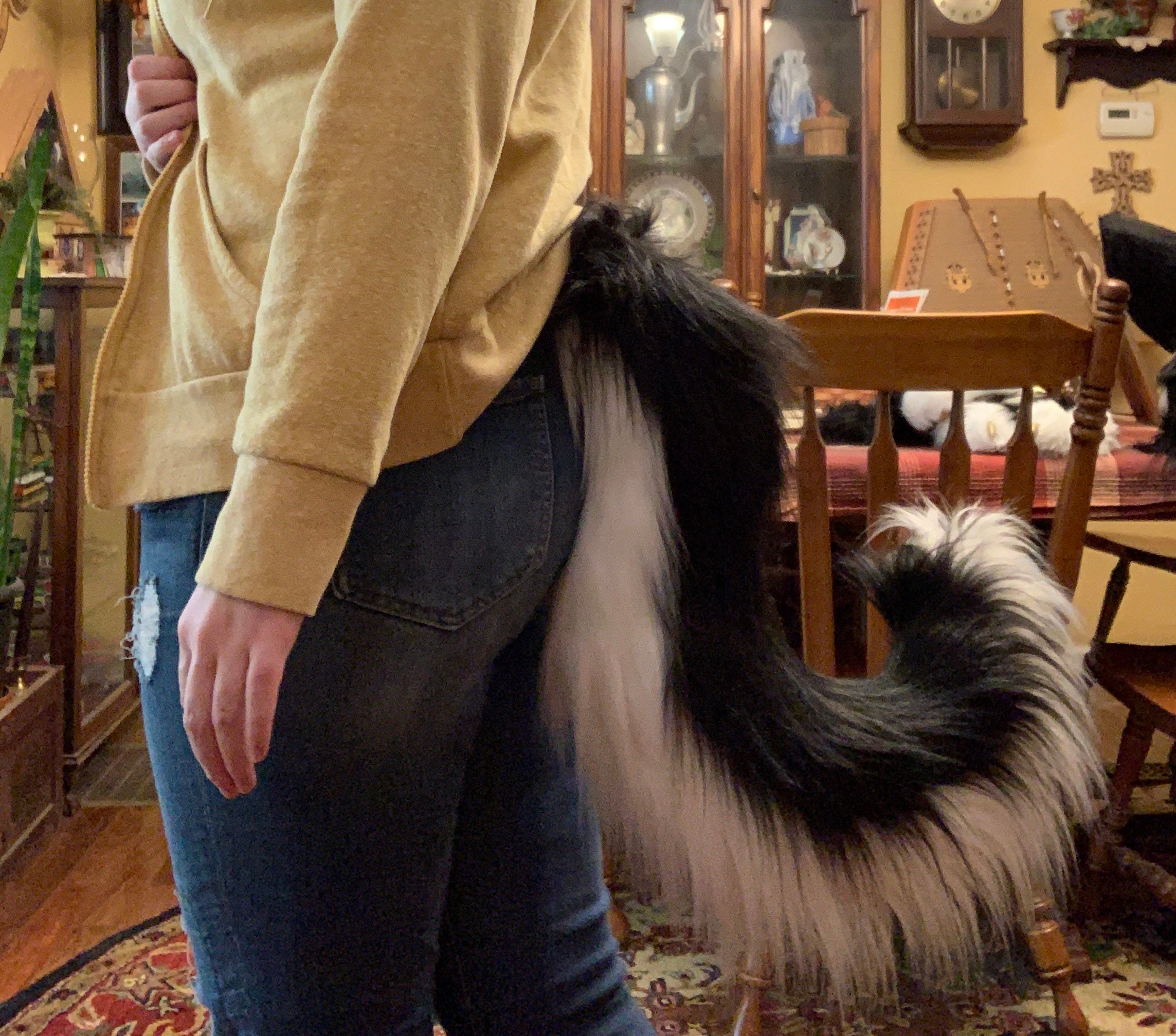 Custom Fursuit Tail Commissions - Etsy