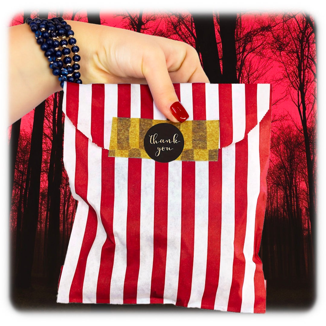 Vampire Mystery Bag • Holiday Gothic Gift Surprise 2025 • Ghostly ...