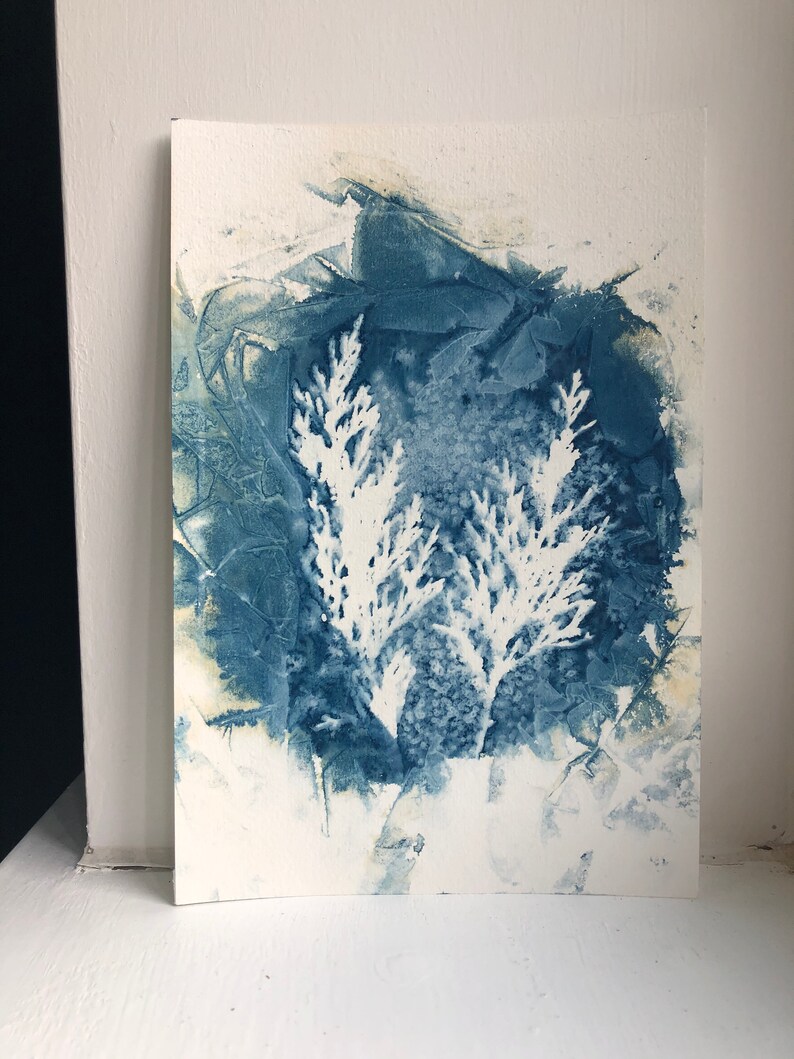 Hand Printed Wet Cyanotype Evergreen Tree Circle Print Original Artwork ...