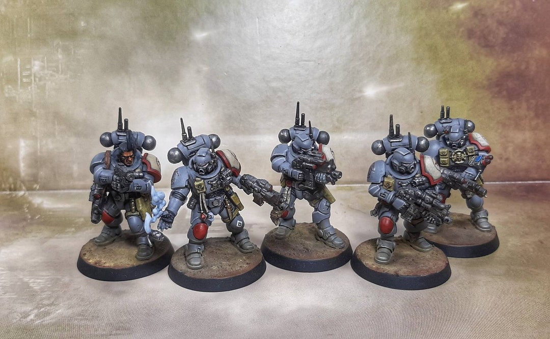 Space Wolves Primaris Reinforcements - Etsy