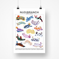 Nudibranch - Etsy