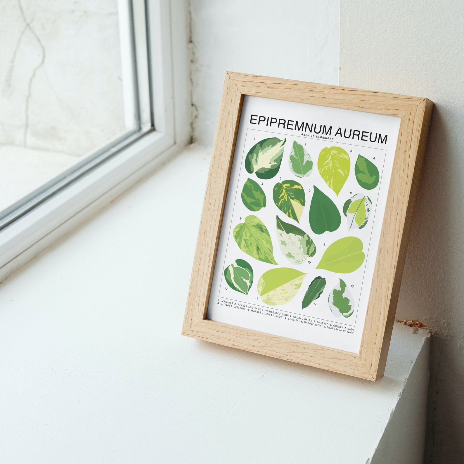 Epipremnum Aureum Pothos Plant Species small Art Print - Etsy
