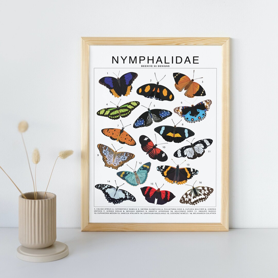 Nymphalidae Butterfly Species small ID Art Print Insect Nature Artwork ...