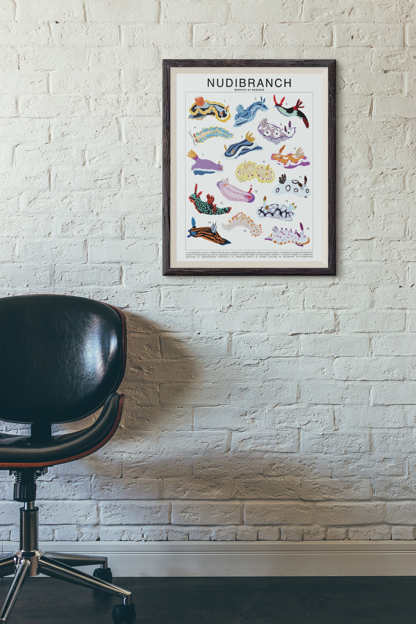 Nudibranch Species Art Print | Sea Creature Artwork Wall Decor | Sea ...