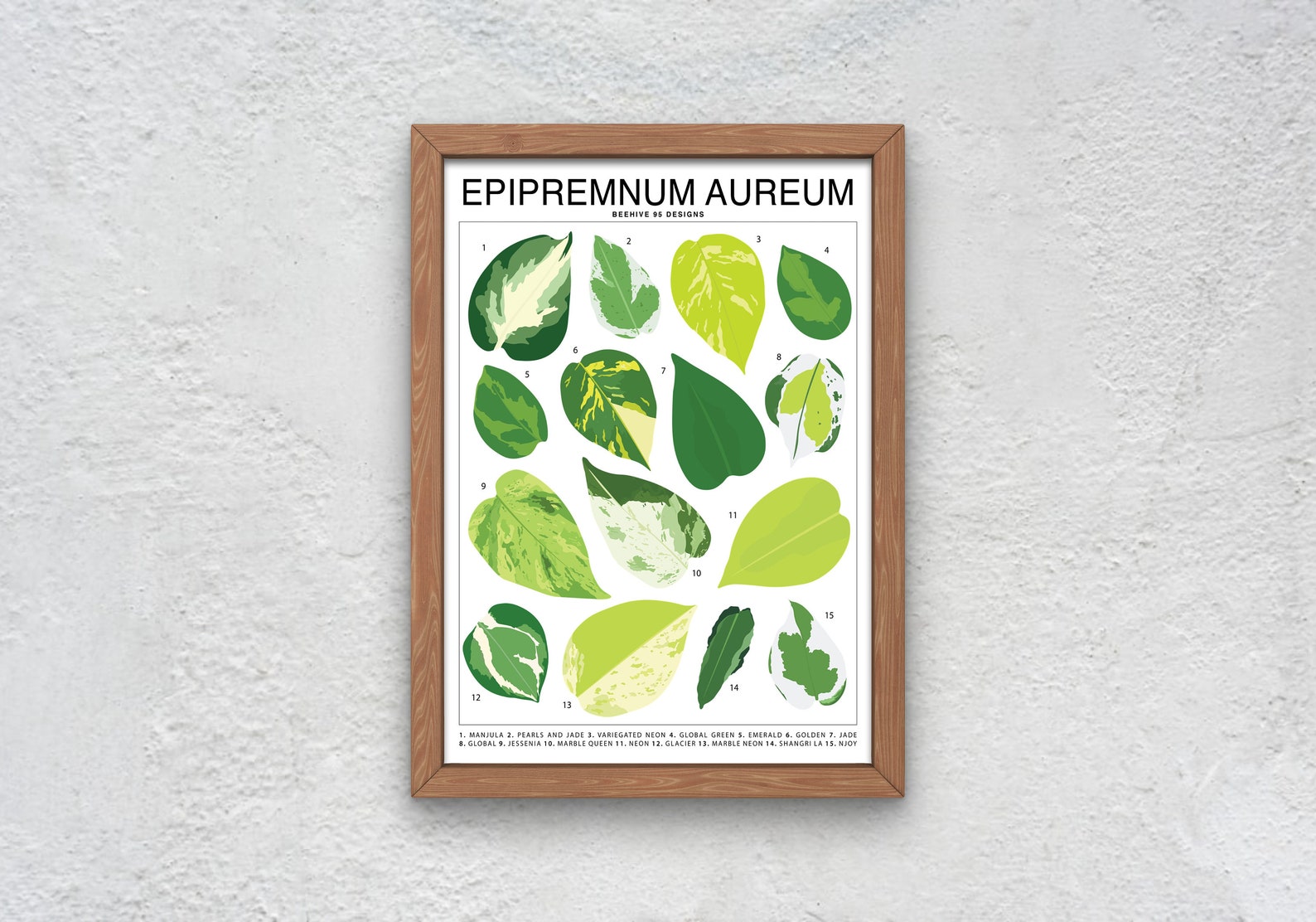 Epipremnum Aureum Pothos Plant Species small Art Print - Etsy