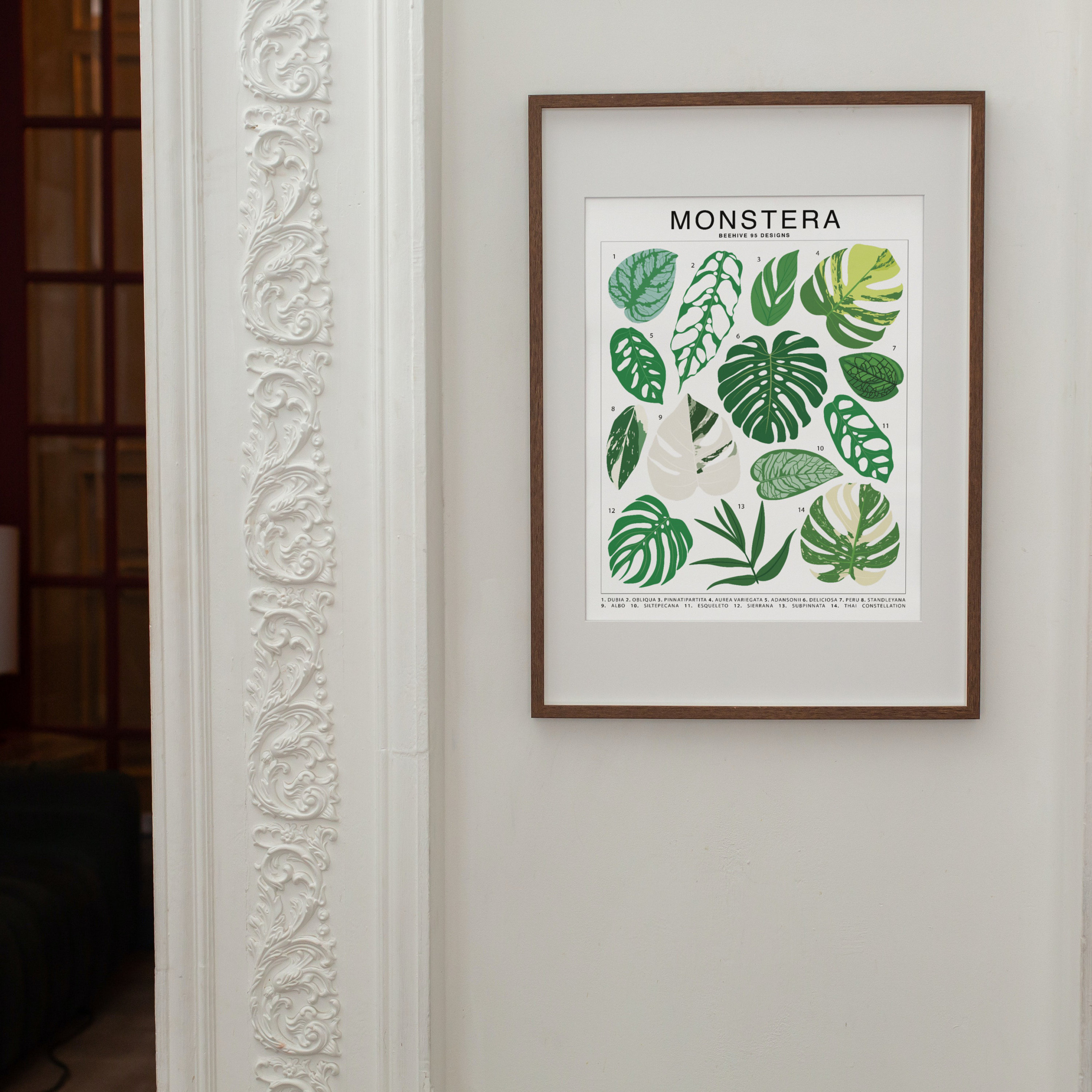 Monstera Plant Species Art Print | Houseplant Artwork Wall Decor ...