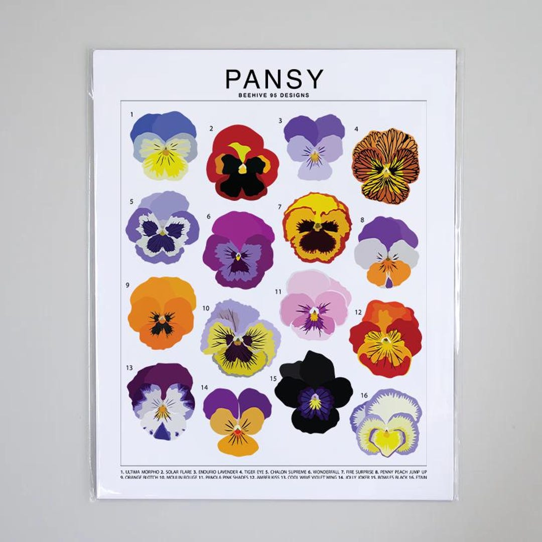Pansy Species Art Print | Plant Artwork Wall Decor | Flower ...