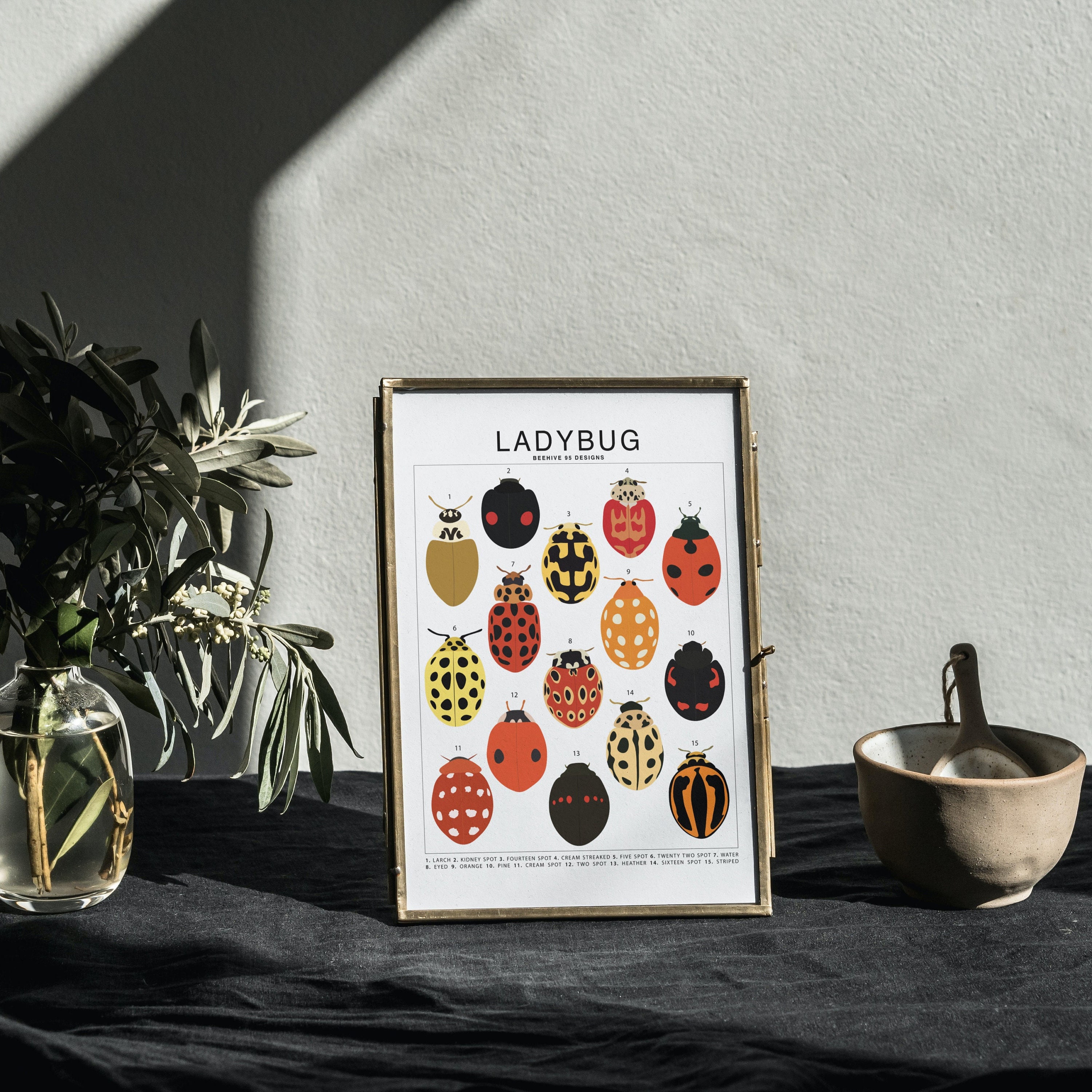 Ladybug Species Art Print | Insect Artwork Wall Decor | Ladybug ...