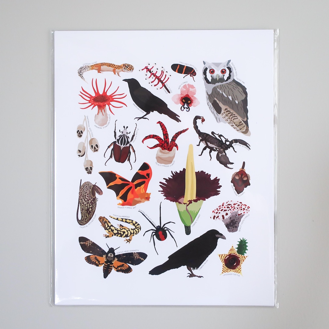 Spooky Critters & More Art Print Wall Decor | Reptile Insect Bat Fungi ...