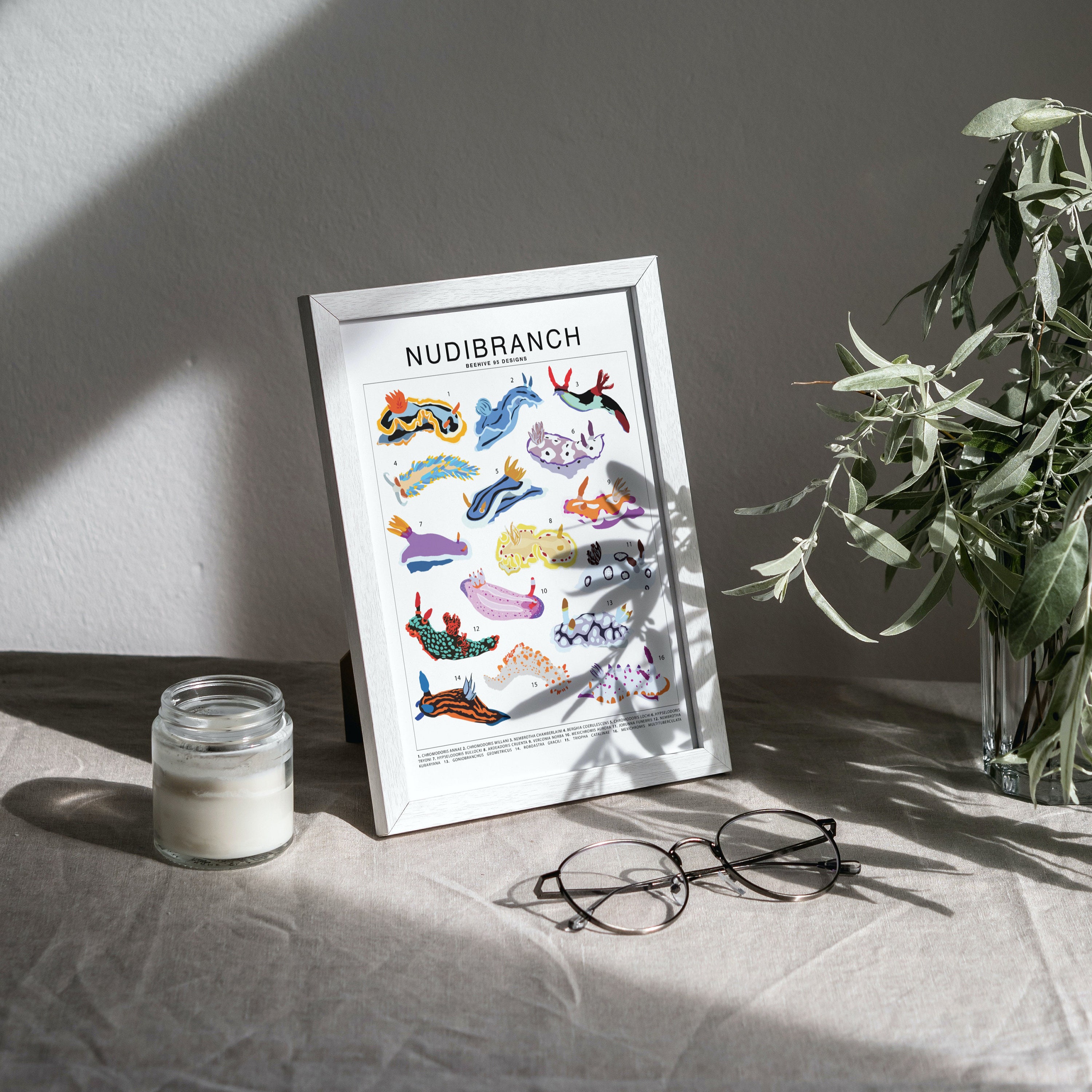 Nudibranch Species Art Print | Sea Creature Artwork Wall Decor | Sea ...