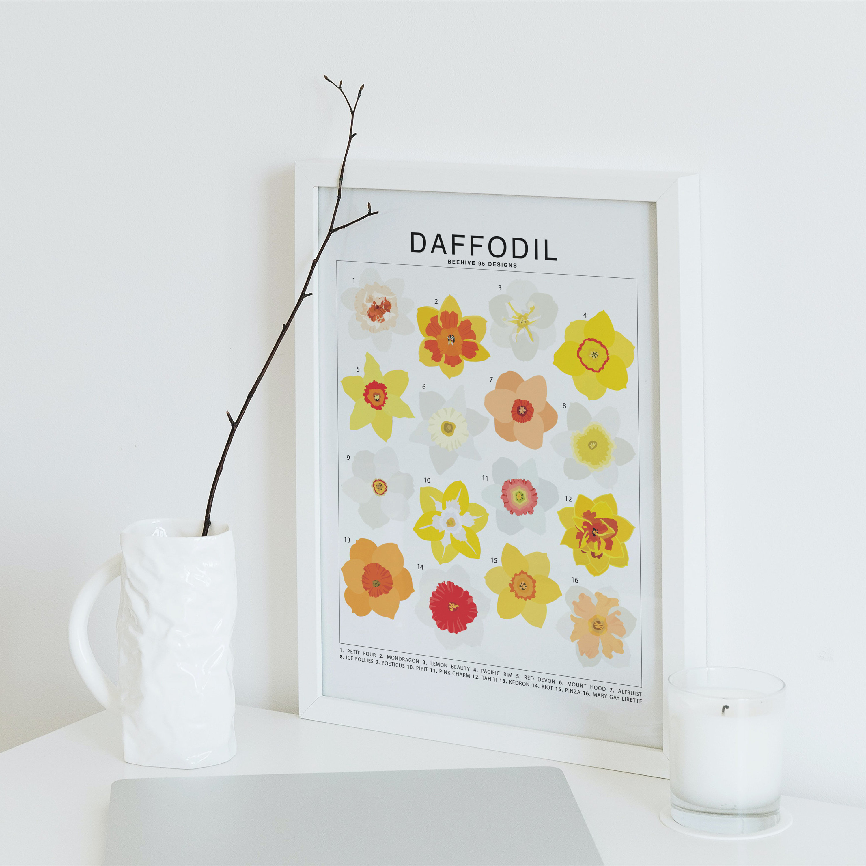 Daffodil ID Chart Art Print | Botanical Flower Artwork Wall Decor ...