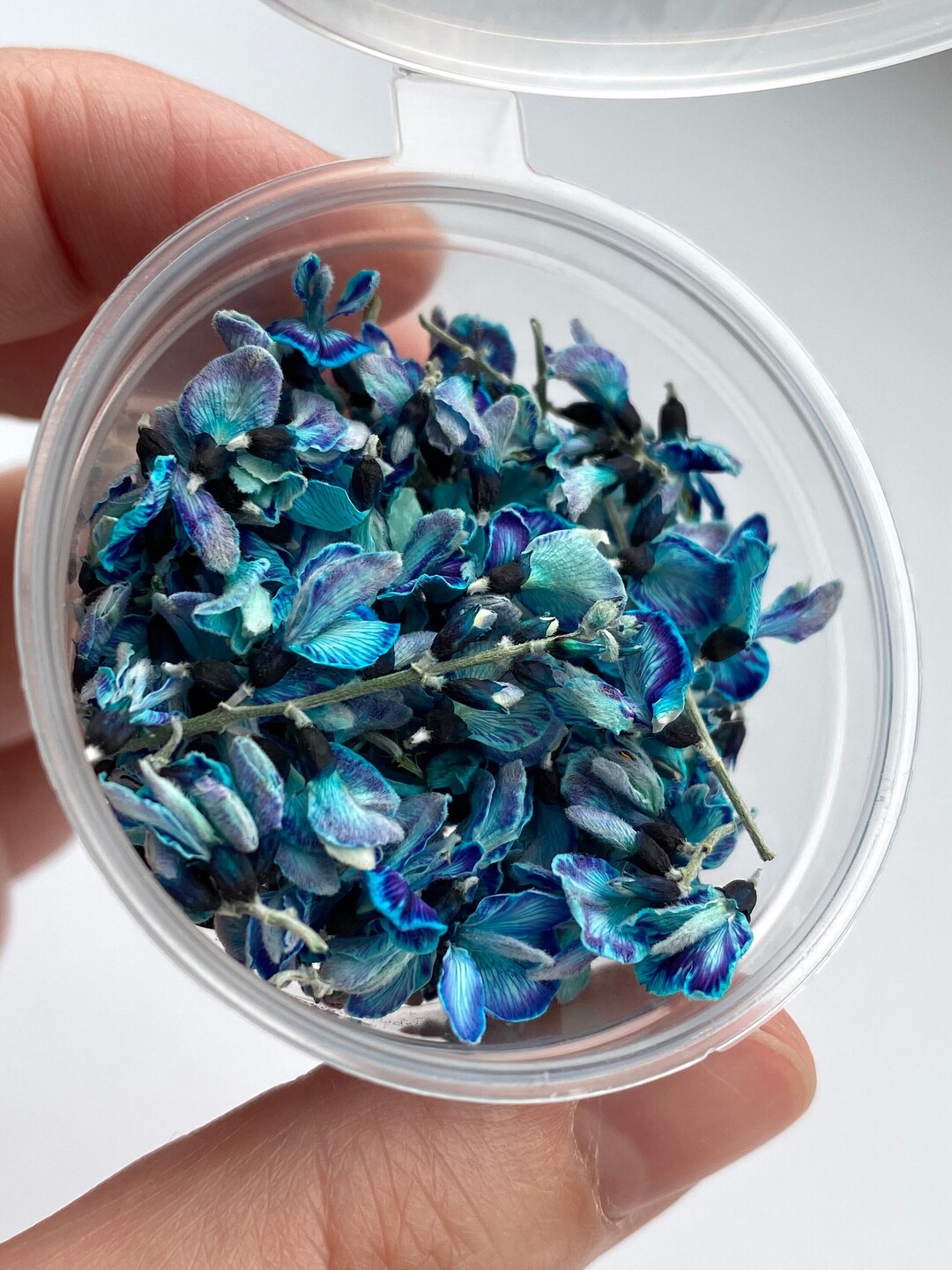 A Set of Purple-blue Tiny Genista Flowers. Flowers for Resin Jewelry ...