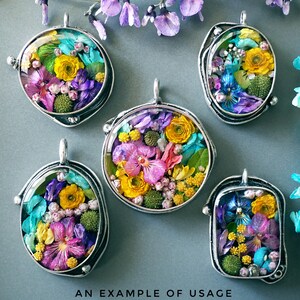 A MIX of Dried Mimosa, Pink and White Ozothamnus, Multicolored Genista ...