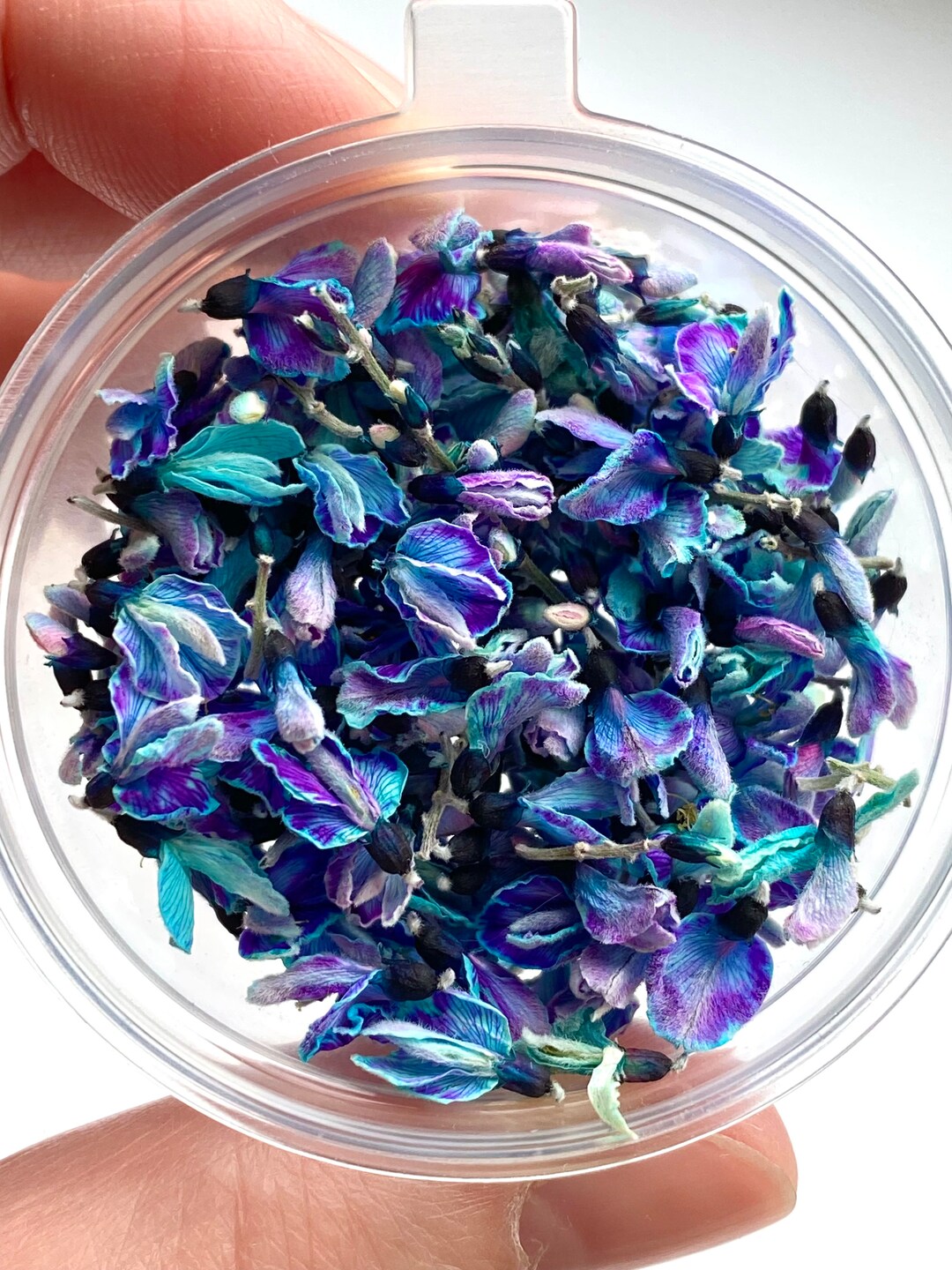 A Set of Purple-blue-pink Tiny Genista Flowers. Flowers for Resin in ...