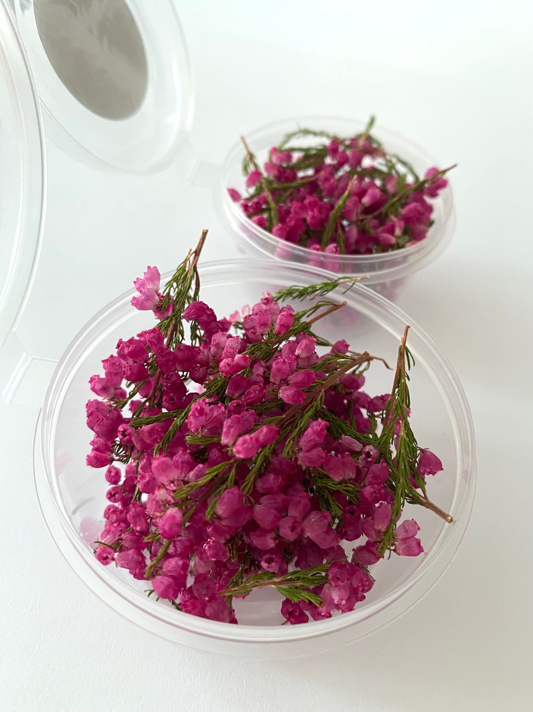 Dried Erica Heather. SMALL or BIG Pack of Dried Erica Heather for Resin ...