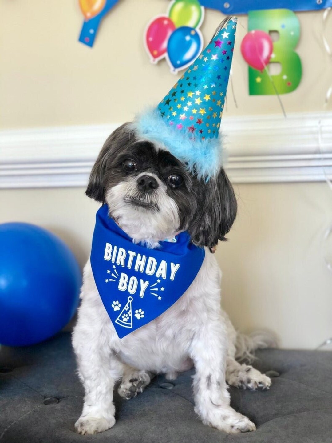 Dog Bandana for Birthday, Dog Birthday Boy, Slip On, Matching Pet ...
