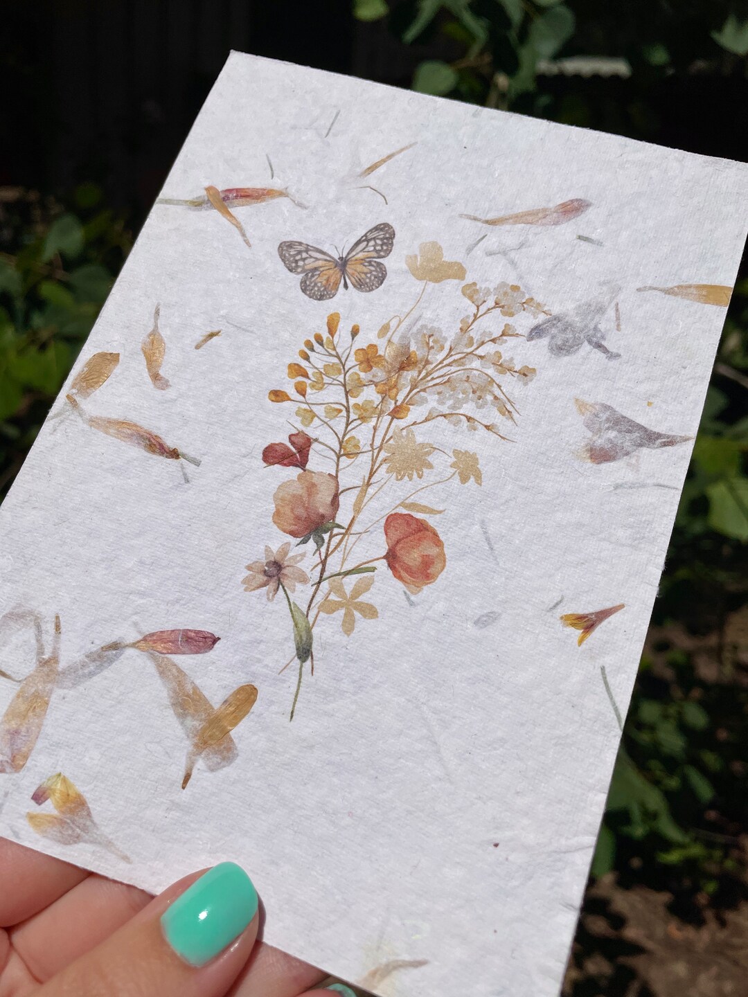 Autumn Floral Bouquet and Butterfly 5x7 Wildflower Art Print Gallery ...