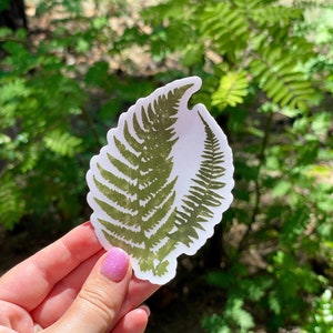Ferns Clear Vinyl Sticker Nature Fern Outdoors Waterproof, Dishwasher ...